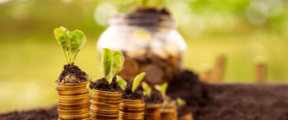 7 Ways How To Stay Empowered In A Financial Crisis